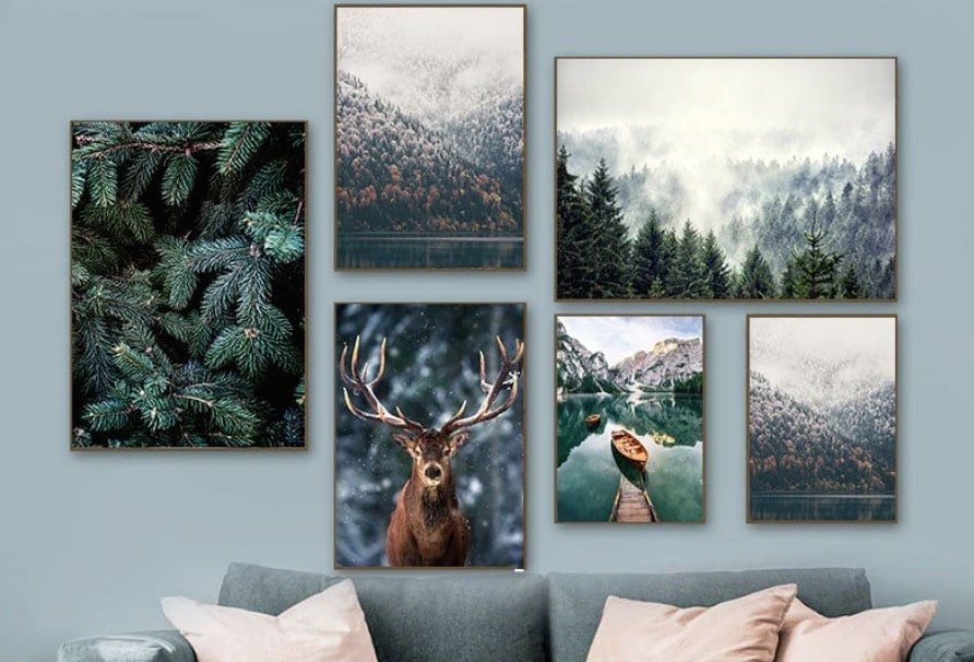 Les Plus Beaux Cadres De Forêt | Peinture Nature